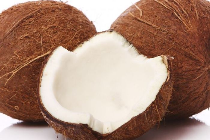 Manfaat Tersembunyi Ampas Kelapa, Ternyata Bisa Bikin Tanaman Tumbuh Lebih Baik Jika Dipakai ...