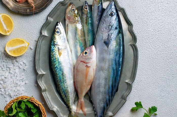 Jangan Mau Ditipu, Begini 4 Perbedaan Ikan Cakalang dan Ikan Tongkol ...