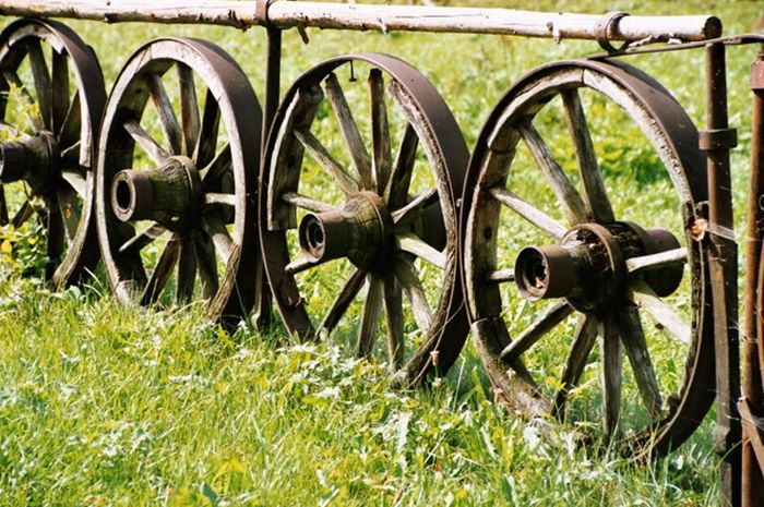 Bagaimana Kehadiran Roda Mengubah Sejarah Transportasi Manusia ...