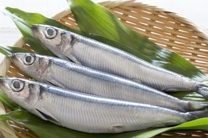 Orang Belanda Sering Makan Mentah, Ini Dia Manfaat Ikan Haring - Sajian ...