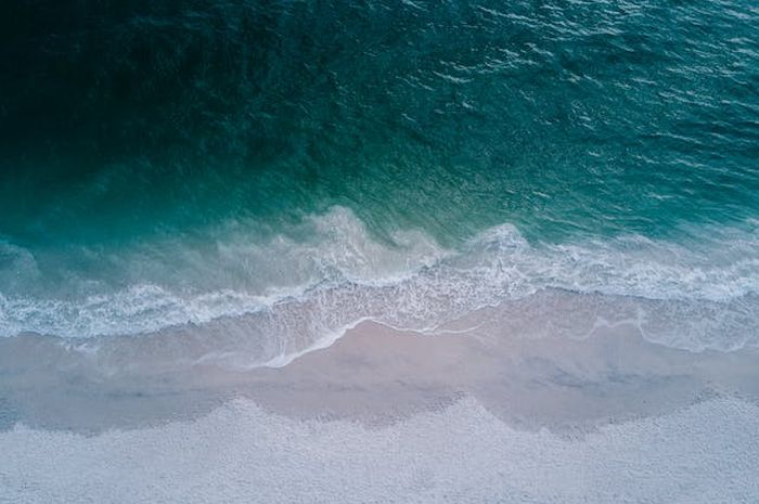 5 Perbedaan Samudra dan Laut yang Sering Dianggap Sama, Sudah Tahu? - Kids