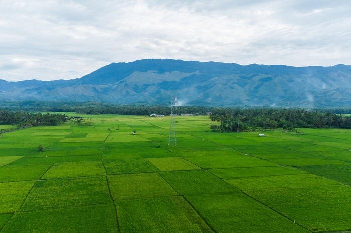 5 Kenampakan Alam Wilayah Daratan, dari Dataran Tinggi sampai Pantai - Kids