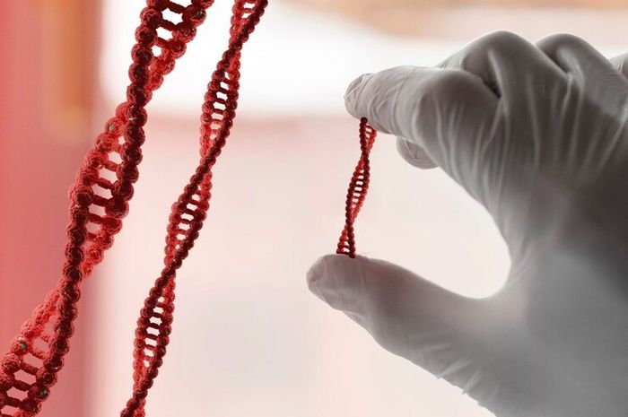 Mengenal Terapi Pengobatan Stem Cell, Bisa Dilakukan untuk Penyakit Apa ...