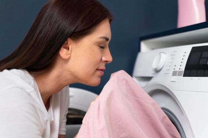 Rekomendasi Mesin Cuci Langsung Kering dan Setrika Beserta Harganya ...