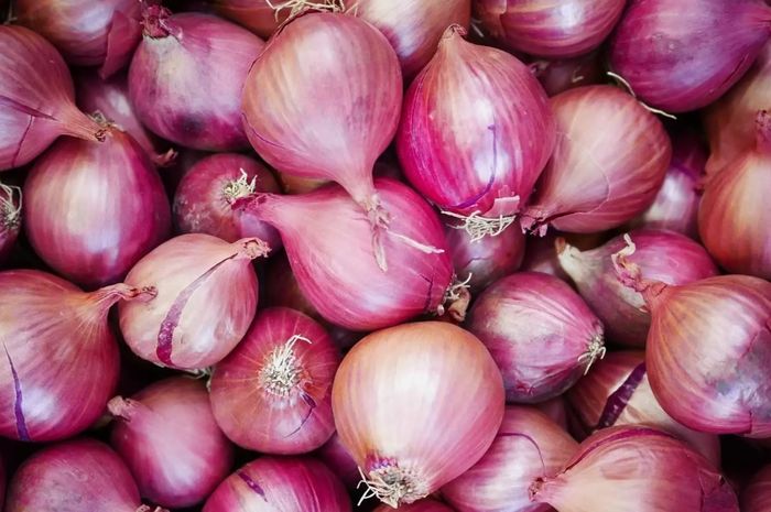 Mumpung 2024 Masih Hitungan Hari, Coba Tidur dengan Bawang Merah yang ...