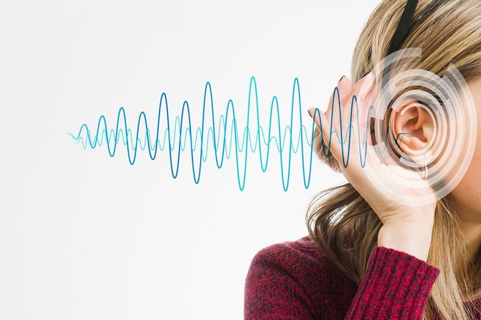 Apa Pengertian Sumber Bunyi dan Apa Saja Jenis-jenisnya? - Kids