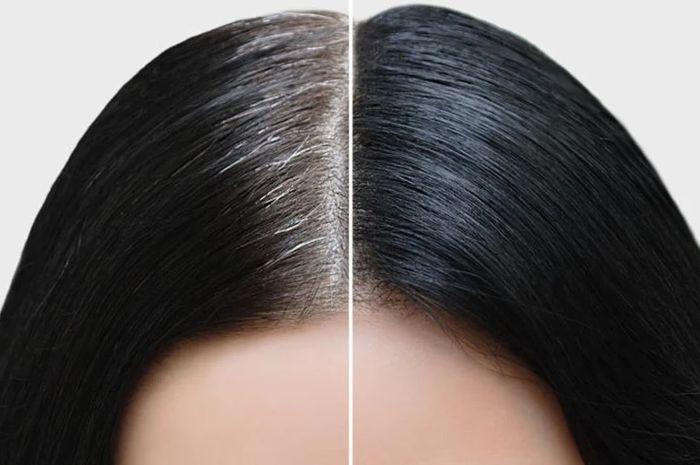 Cara Mengatasi Rambut Putih Tanpa Disemir dengan Air Rebusan dari Daun ...