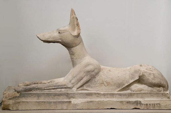 Kucing Dihormati dalam Sejarah Mesir Kuno, Bagaimana dengan Anjing ...