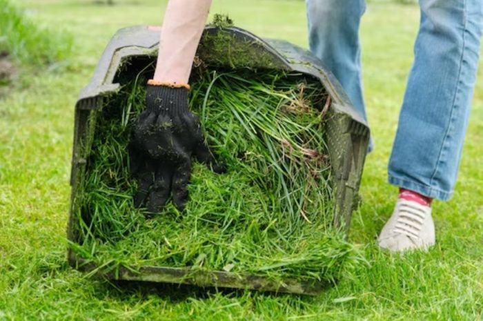 Cara Mencabut Rumput dengan Cepat dan Efisien, Gunakan Trik Ini - Nakita