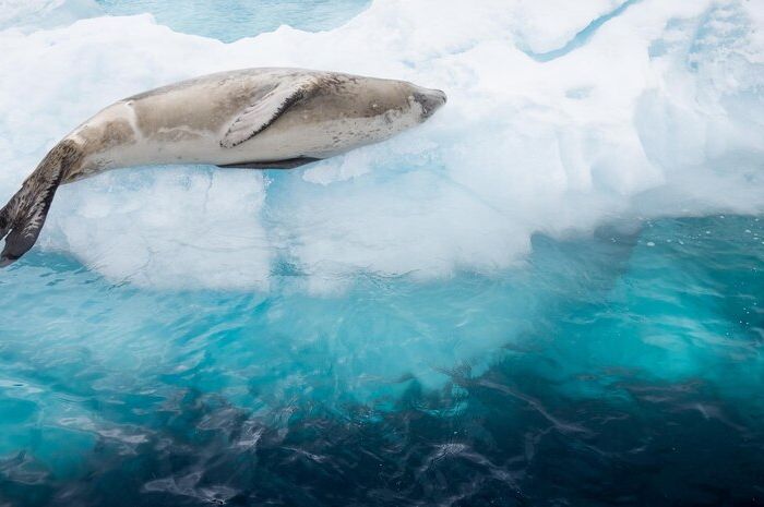 4 Ragam Skala Suhu yang Perlu Kamu Ketahui, dari Celcius sampai Kelvin ...
