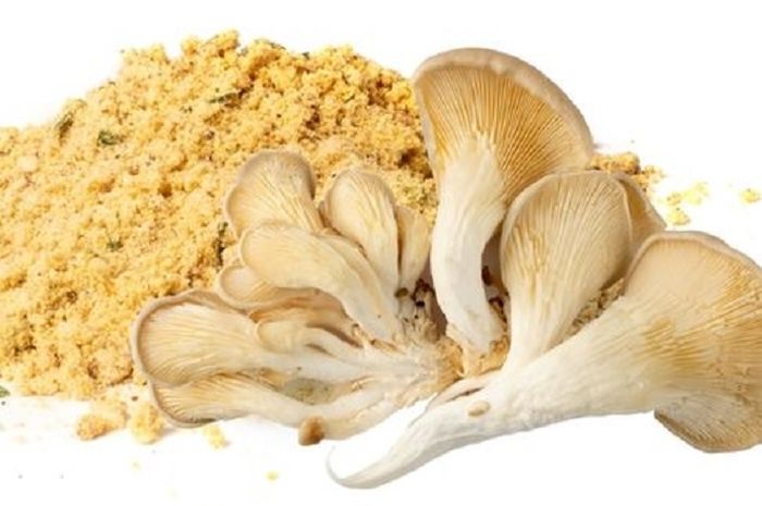 Tak Perlu Beli Lagi, Sekarang Saatnya Membuat Kaldu Jamur Sendiri di ...