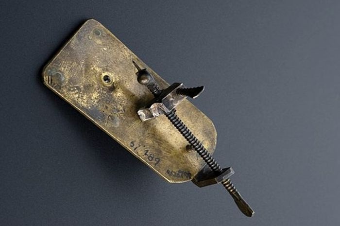 Ketika Peran Mikroskop Mengungkap Sejarah Dunia Renik Tersembunyi ...