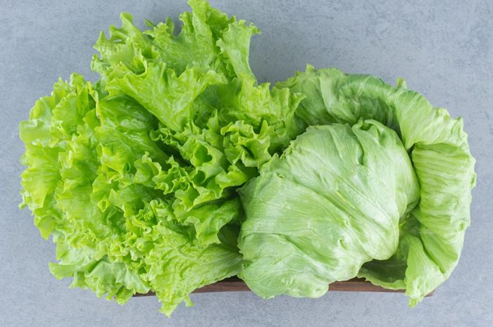 Anti Layu, Ini Rahasia Simpan Daun Selada Tanpa Kulkas, Contek 3 ...