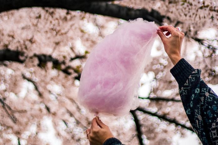 Mengapa Permen Kapas Bisa Meleleh Jika Diletakkan di Bawah Sinar ...