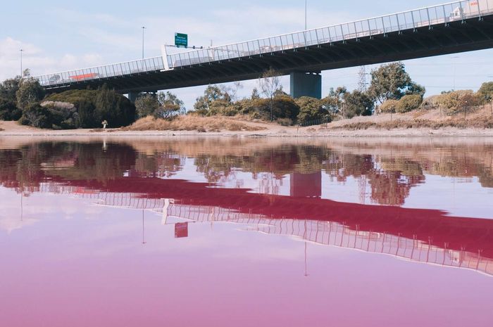 Fenomena Alam yang Cantik, Kenapa Danau Pink di Australia Tidak Boleh ...