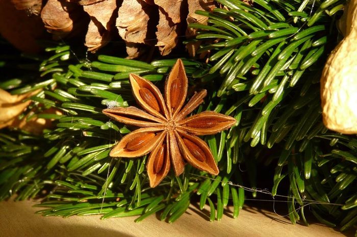 Punya Bentuk Unik dan Menarik, Apakah Rempah Bunga Lawang Itu? - Bobo