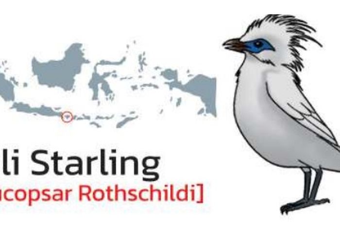 Jawab Pertanyaan Worksheet 1.25 Bali Starling, Bahasa Inggris Kelas IX ...