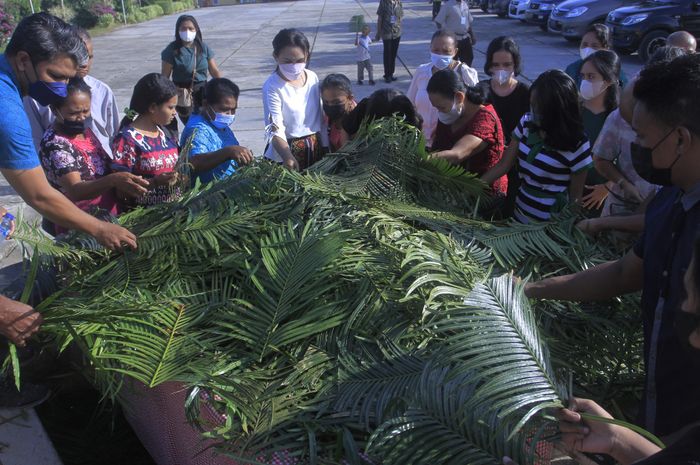 Manfaat Daun Palma yang Digunakan Orang Katholik untuk Kesehatan Tubuh ...