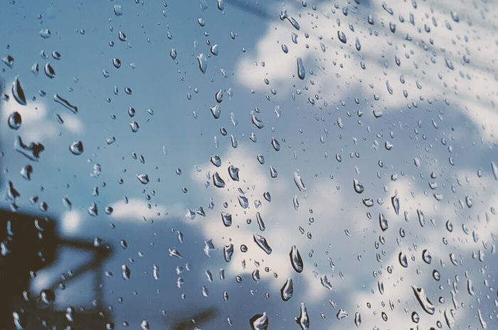 Mempelajari Perbedaan antara Mengembun dan Disposisi - Kids