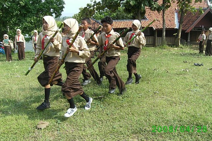 6 Arti Tunas Kelapa Sebagai Lambang Gerakan Pramuka dan Penjelasannya ...