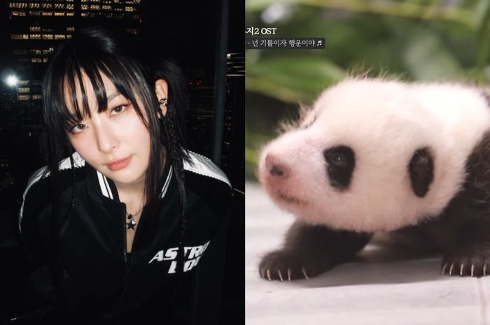 Seulgi Red Velvet Ucapkan Selamat Tinggal Pada Panda Fubao Lewat Lagu Baru Youre My Joy And Luck 