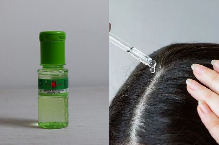 Cara Menghilangkan Uban dengan Bantuan Minyak Kayu Putih, Nyesel Selama ini Beli Semir Terus ...