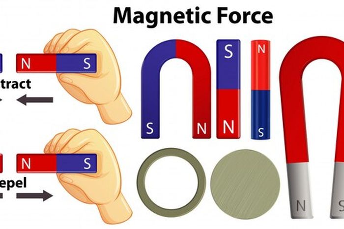 Benda Bermagnet: Mengenal Sifat, Bentuk, dan Cara Pembuatannya - Kids