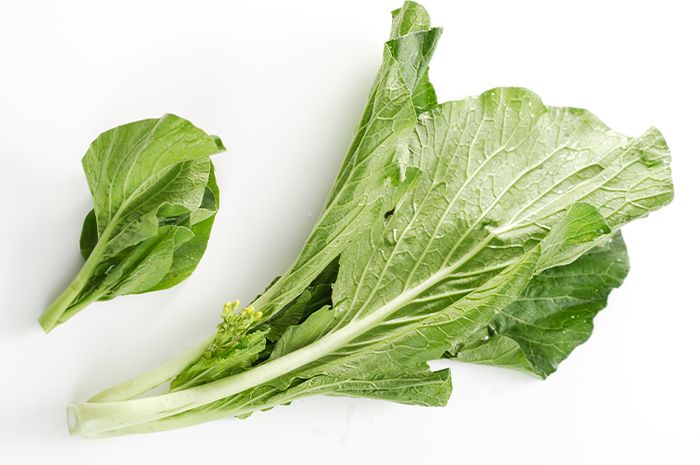 Tips Menanam Caisim Di Rumah Dengan Cara Mudah, Cocok Jadi Peluang ...