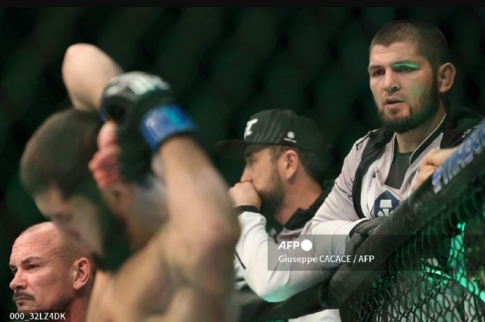 UFC 302 - Khabib Comeback pada Laga Spesial Islam Makhachev Vs Dustin ...