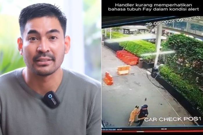 Imbas Viralkan Video Satpam Pukul Seekor Anjing, Robby Purba Kini Minta ...
