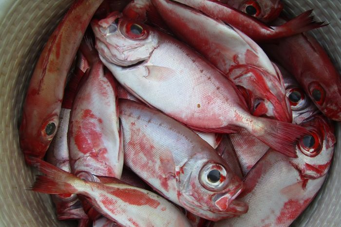 Peran Perempuan Kepulauan Banda dalam Menjaga Ekologi Pesisir ...