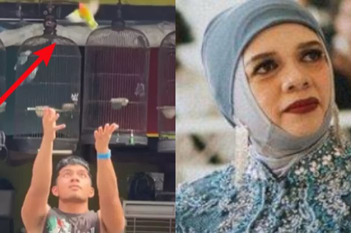 Saaih Halilintar Dihujat Gegara Lepas Love Bird, Geni Faruk Bela ...
