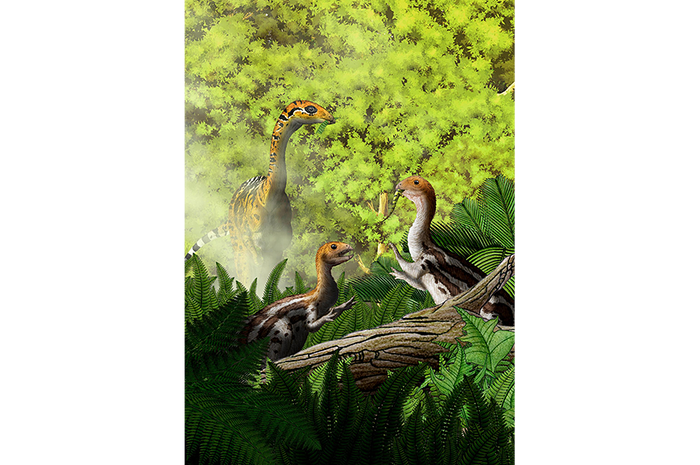 Limusaurus Inextricabilis, Dinosaurus yang Ompong - Bobo