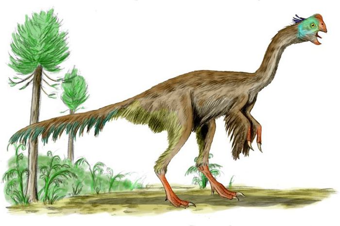 Gigantoraptor erlianensis, Dinosaurus Mirip Burung - Bobo