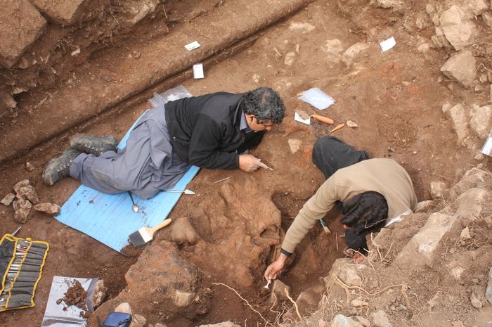 Mengenal Profesi Arkeolog - Bobo