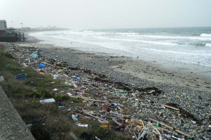 Dari Mana Sampah Plastik di Laut Berasal? Lalu, Apa Efeknya Bagi ...