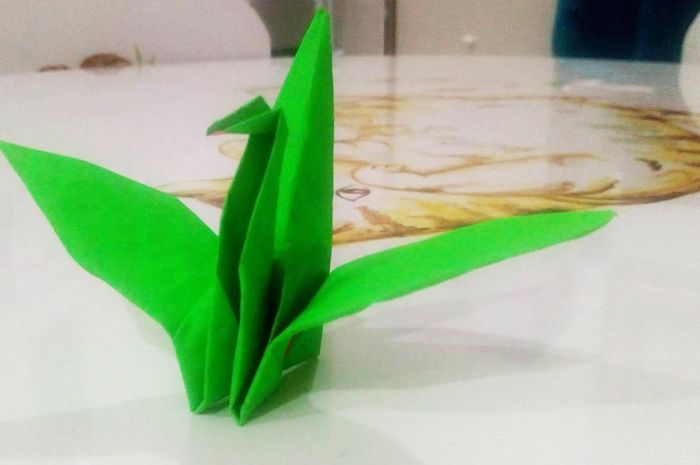6 Tipe Origami, Pernahkah Kamu Membuat Keenam Tipe Ini? - Bobo