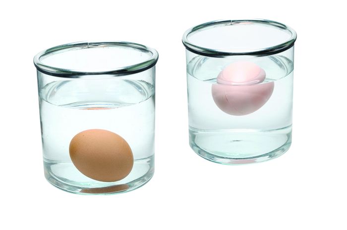 Membedakan Telur Segar dengan Telur Busuk - Bobo