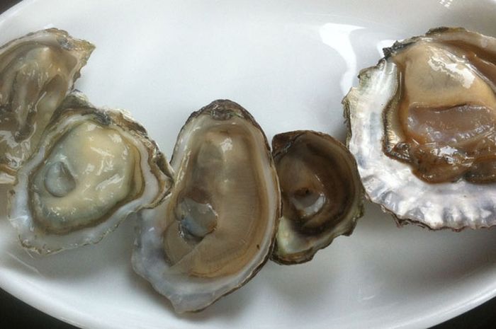 Tiram yang Kaya Nutrisi - Bobo