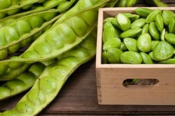 Manfaat Petai, di Balik Baunya Yang Menyengat - Bobo