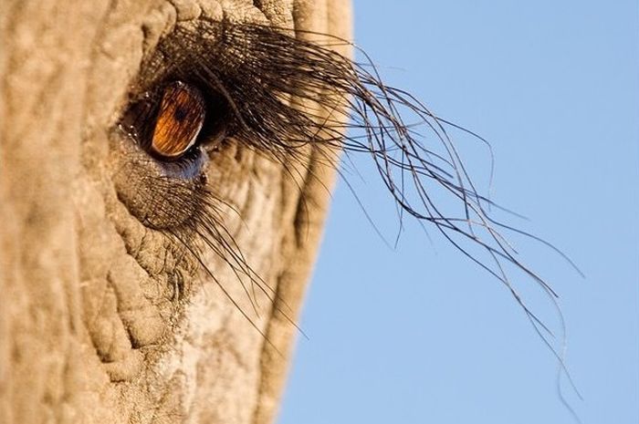 10 Foto Objek Biasa yang Terlihat Keren Ketika Diambil dari Angle yang ...