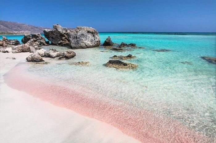Ini Dia 6 Pantai dengan Pasir Pink Tercantik di Dunia, Salah Satunya ...