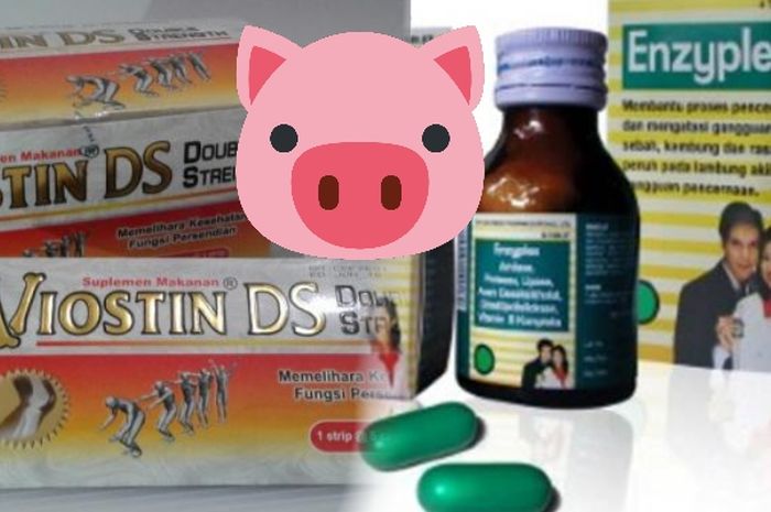 Viostin DS dan Enzyplex Tablet Positif Mengandung DNA Babi, Pabrik ...