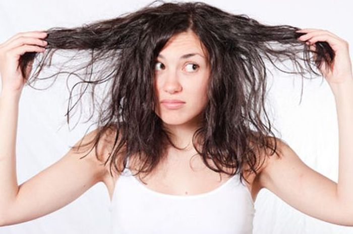 Kulit Rambut Berminyak dan Ujung Rambut Kering? Ini Dia Rekomendasi ...