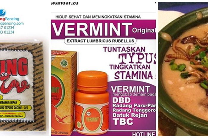 Kaya Protein, Cacing Bisa Jadi Sumber Makanan yang Menjanjikan Loh!