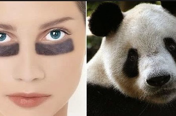 Gunakan 5 Bahan Alami Ini Untuk Katakan Selamat Tinggal pada Mata Panda!