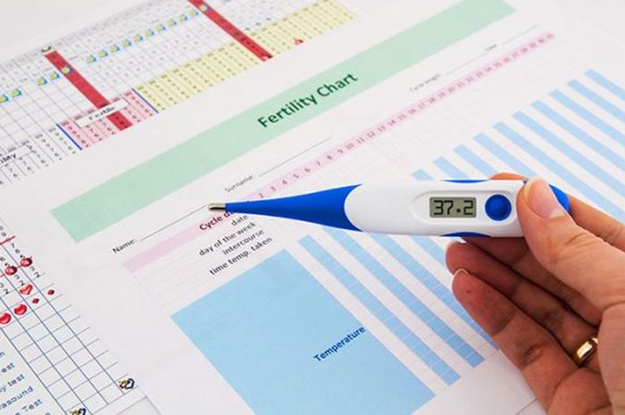 Bingung Menentukan Masa Subur dengan Sistem Kalender? Perhatikan 7 ...