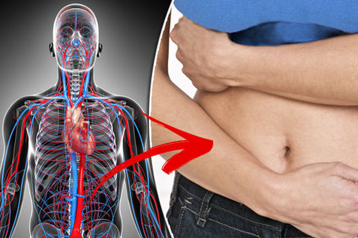 Sudah Tahu Apa Itu Aneurisma Aorta Perut? Hati-hati, Penyebabnya Bisa ...