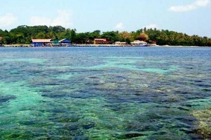 5 Titik Snorkeling Keren di Pahawang - iDEA