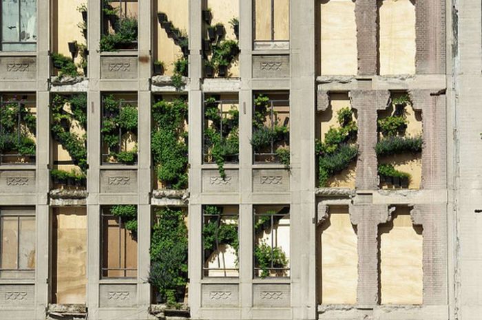 Teduhnya Fasad Vertical Garden - iDEA